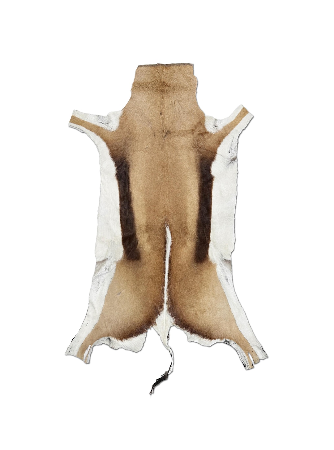 Springbok Fur Rug - Genuine A Grade Pelt - African Exotic Fur - Deer ...