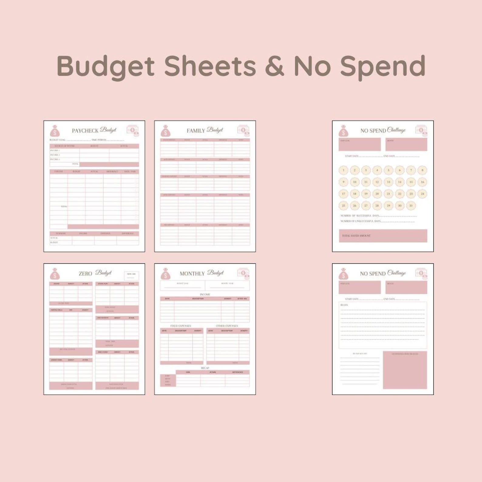 Budget Planner PDF Printable, Finance Tracker, Budget Binder, Financial ...