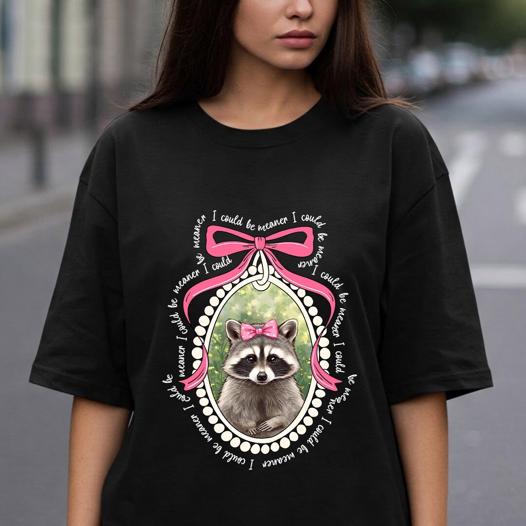Funny Raccoon Meme I Could Be Meaner Shirt, Sarcastic Raccoon Shirt ...