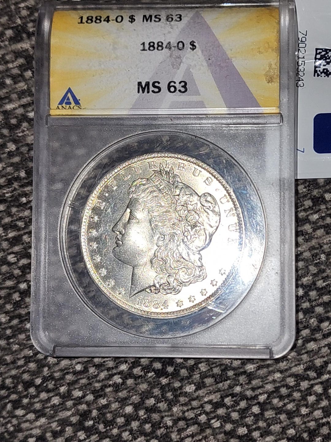 Graded Morgan - Etsy