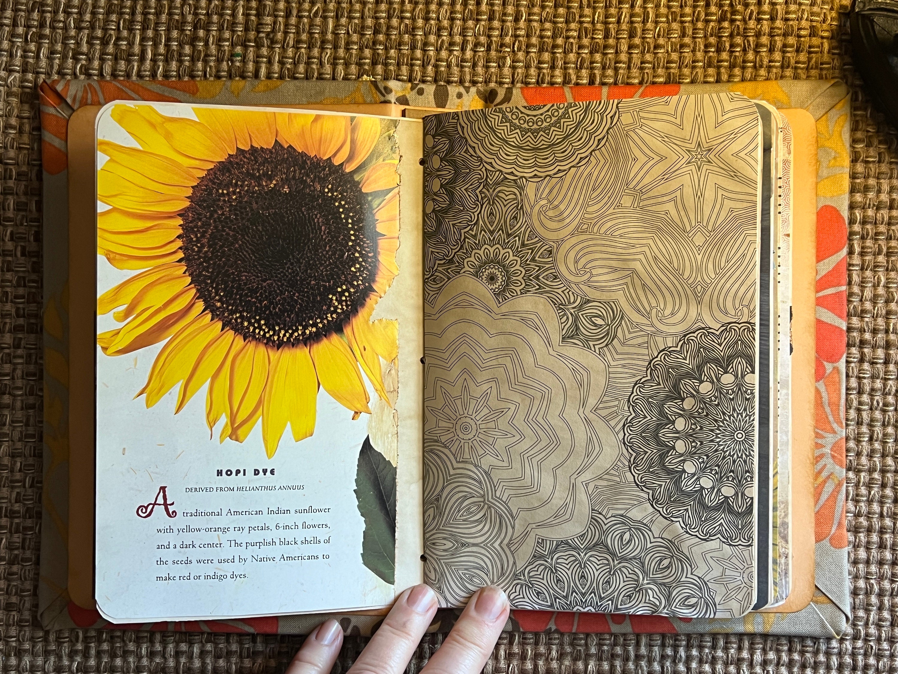 Sunflower Duo Junk Journal - Etsy