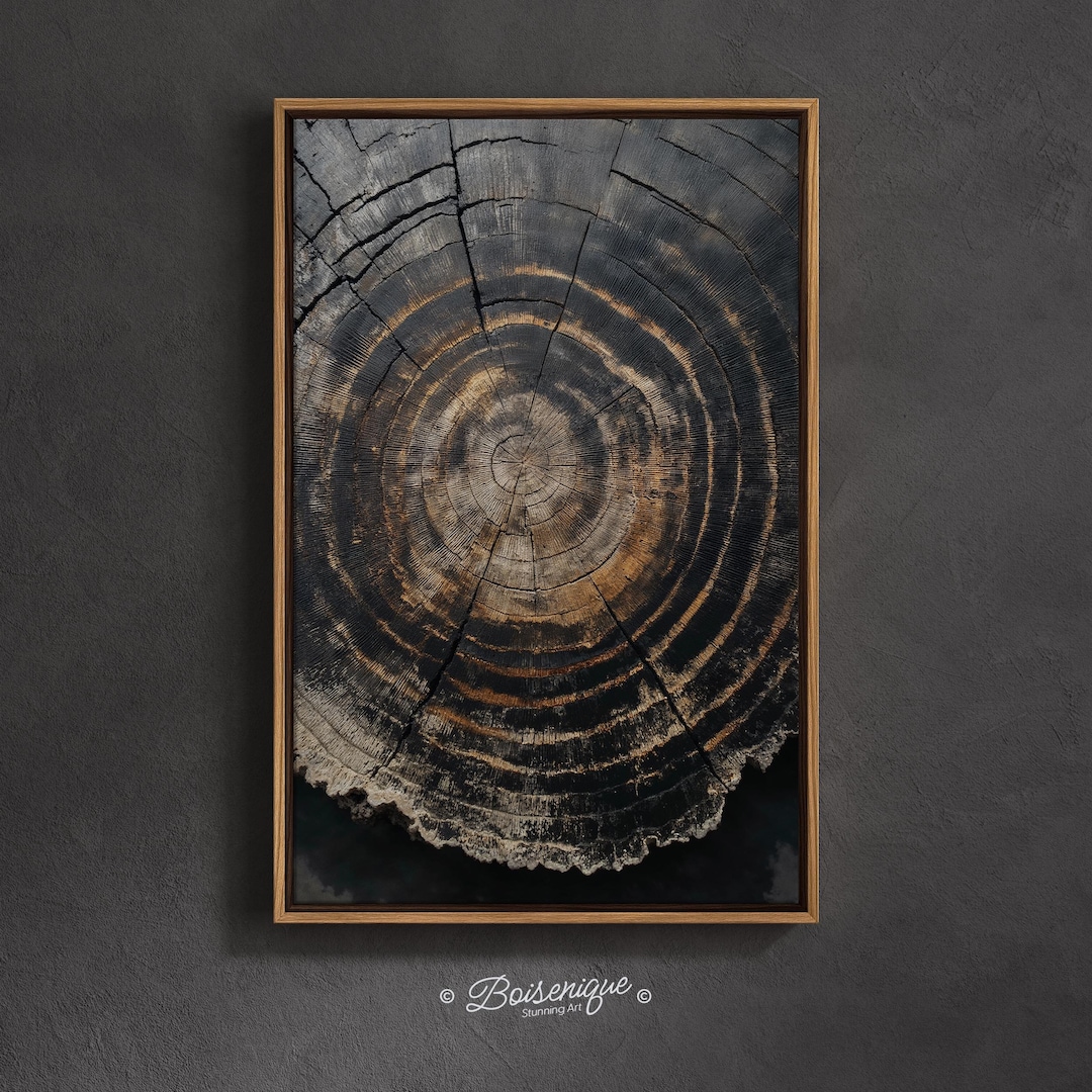 Vintage Tree Ring Framed Wall Art, Colorful Abstract Tree Ring Wall ...