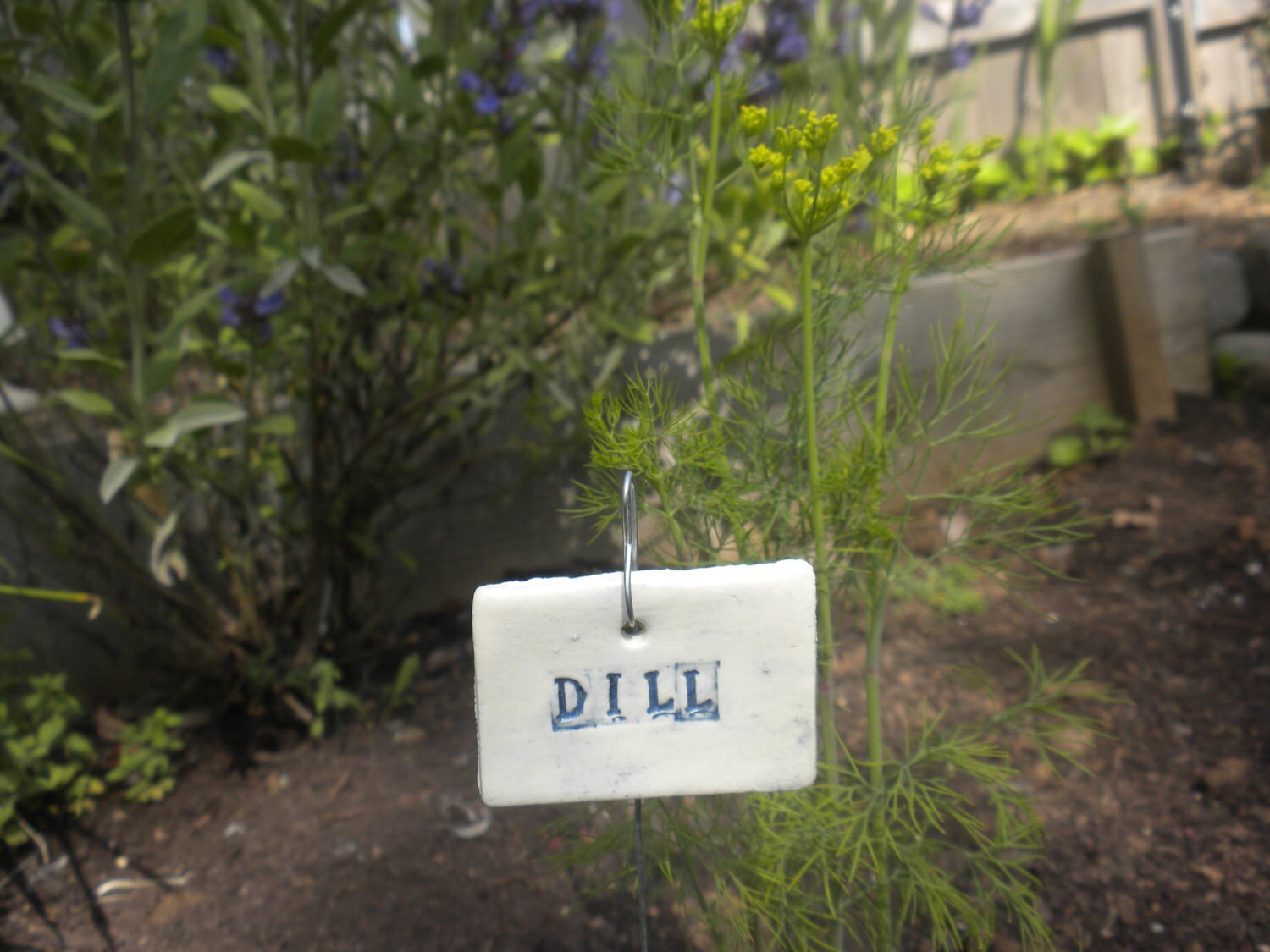 Dill Plant Marker - Etsy