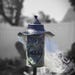 The Witch - Monster Tiki Torch - a Hauntingly Unique Piece Perfect for ...