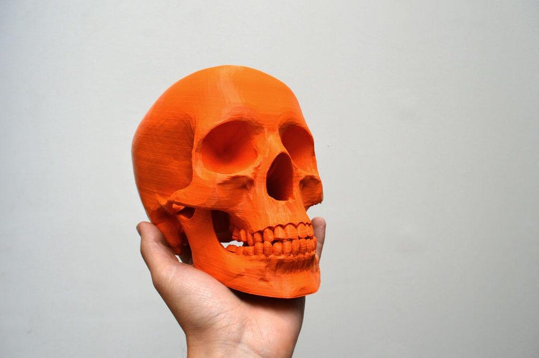 Simplified Human Skull 3D Model STL File - Realistic Skull 3D Print ...