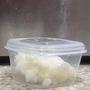 Live Milk Kefir Grains - Etsy