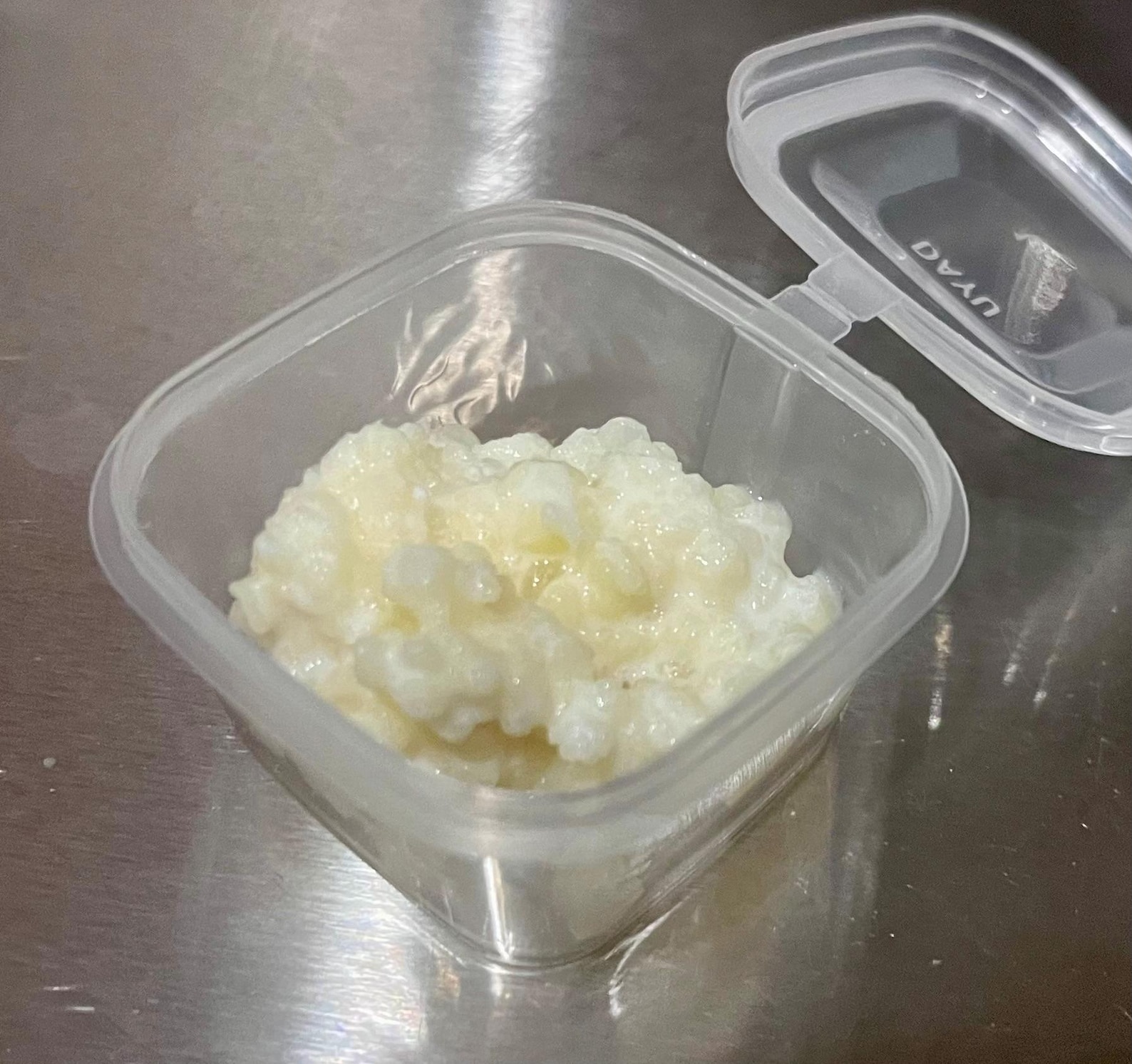 Live Milk Kefir Grains - Etsy