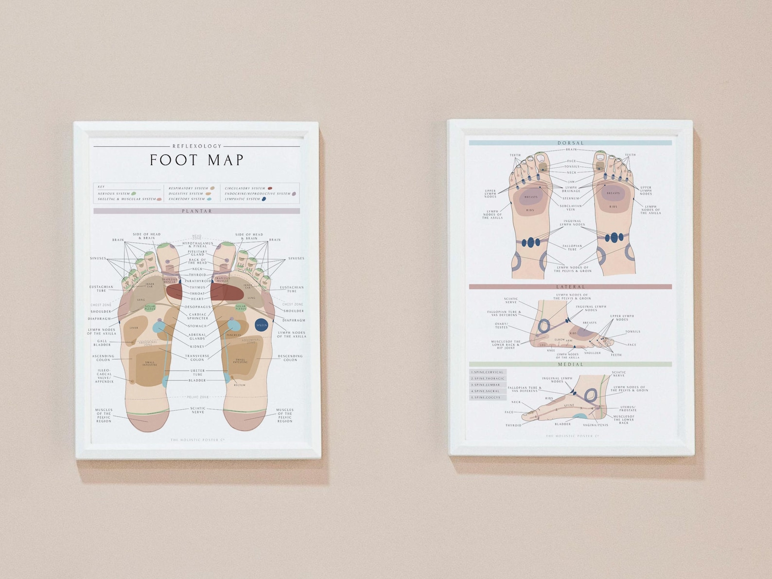 Reflexology Foot Map/foot Chart Print in Sizes A3/A4 Wall-art, Therapy ...