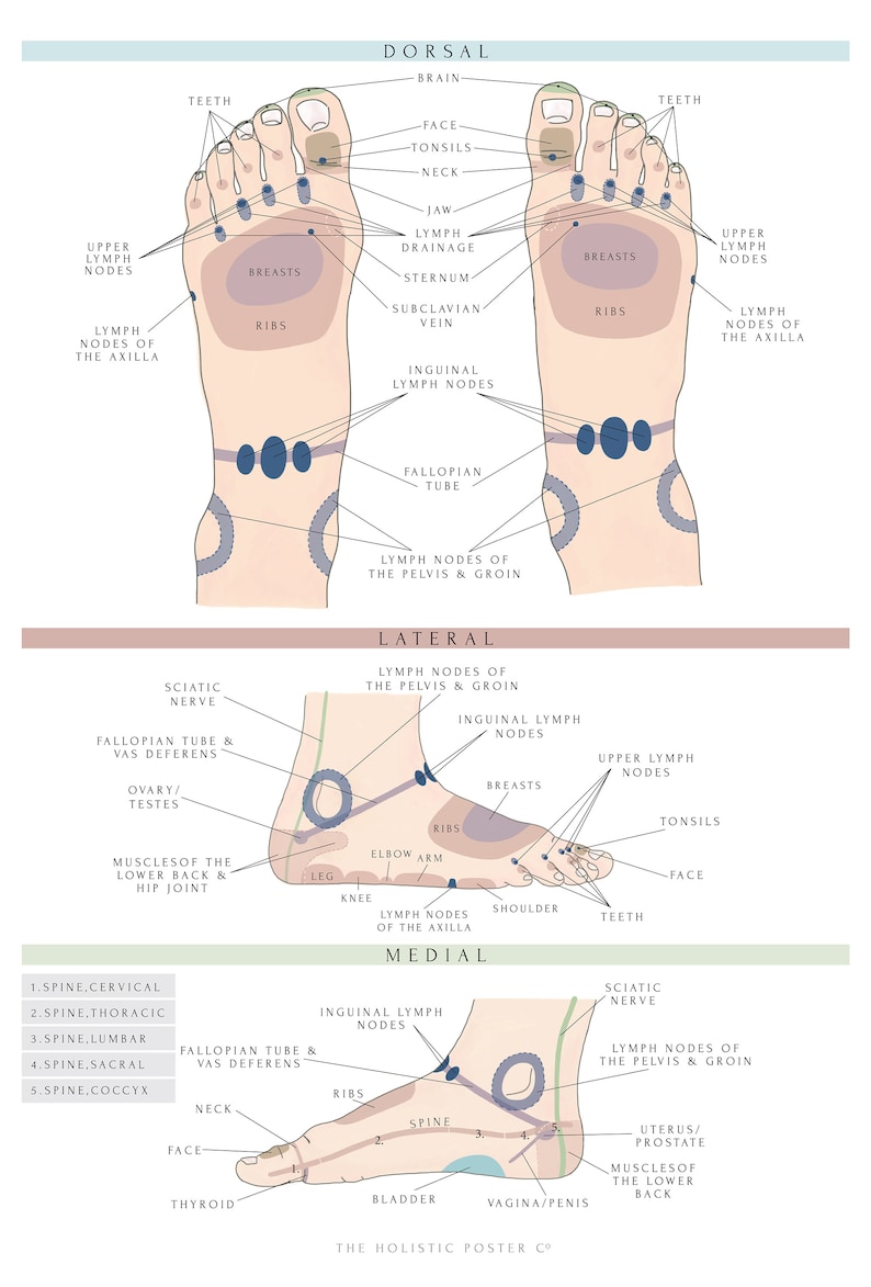 Reflexology Foot Map/foot Chart Print in Sizes A3/A4 VERSION 2 Wall-art ...