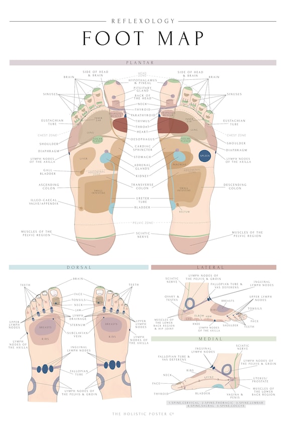 Reflexology Foot Chart