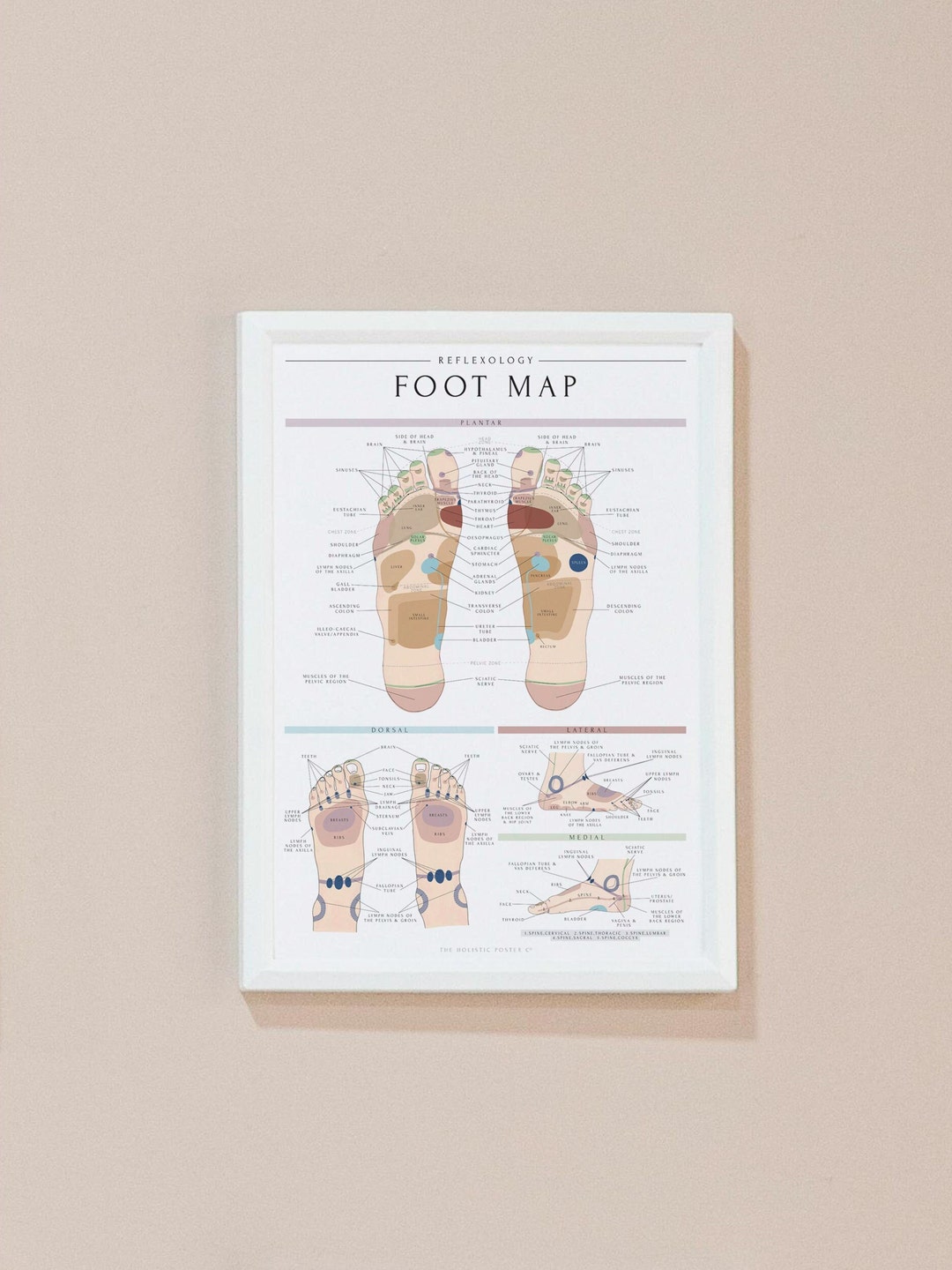 Reflexology Foot Map/chart Print - Etsy