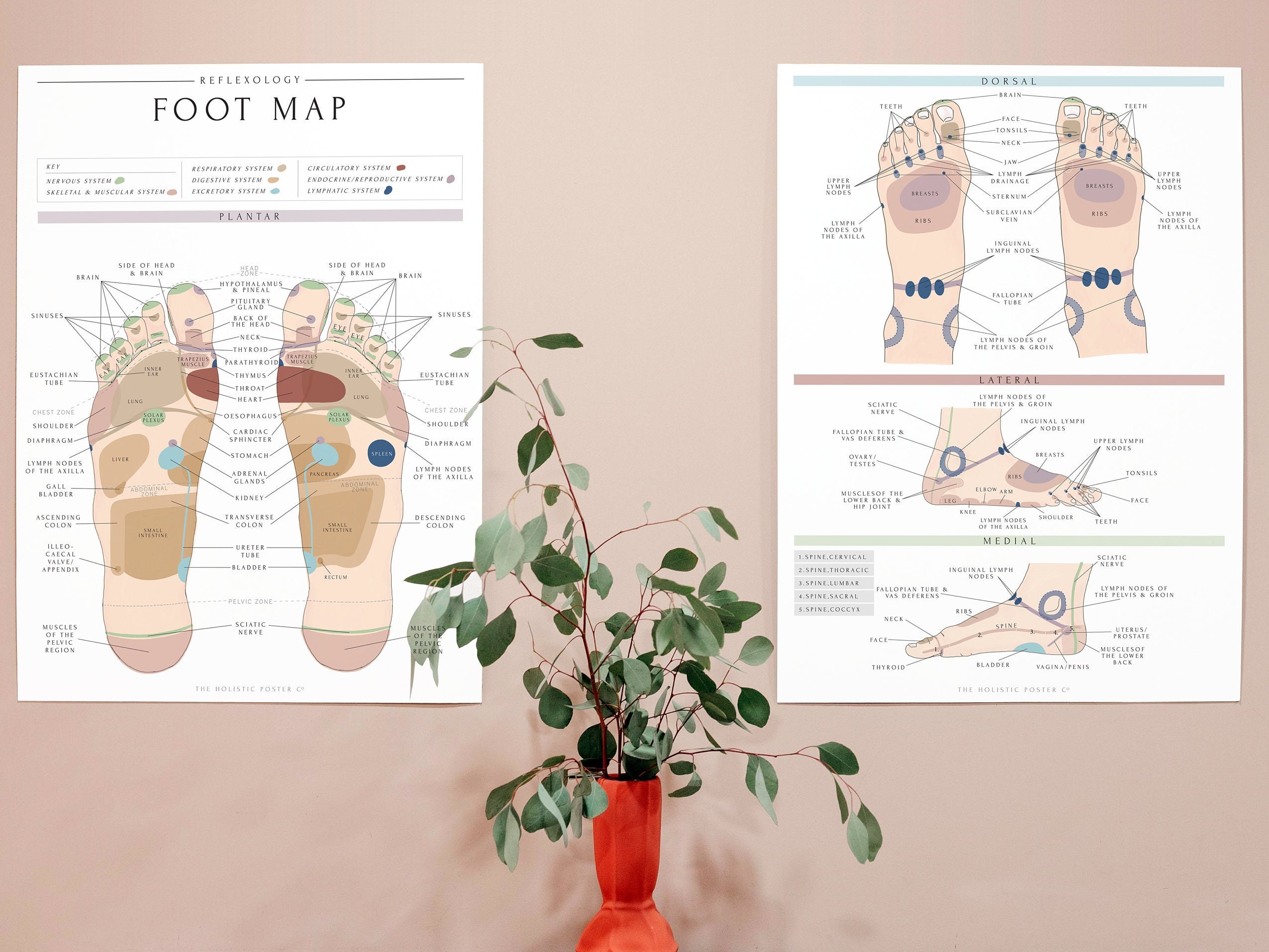 Reflexology Foot Map/foot Chart Print in Sizes A3/A4 Wall-art, Therapy ...