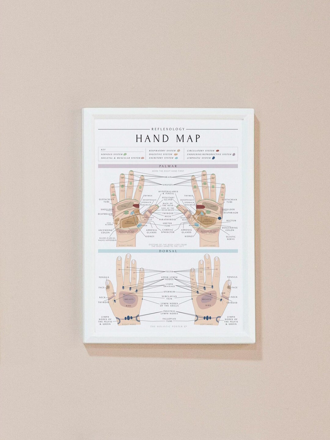 Reflexology Hand Map/chart Print - Etsy