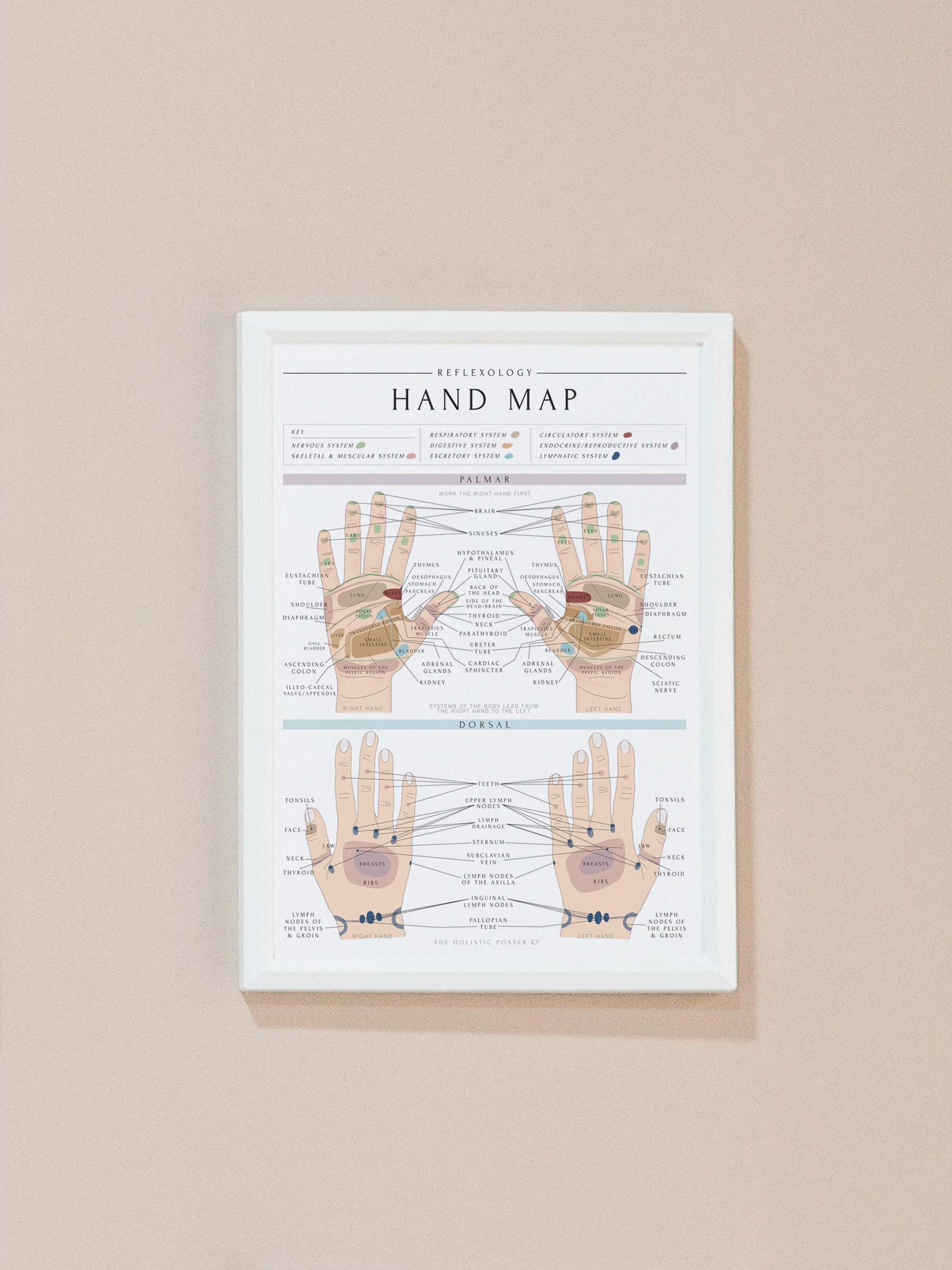 Reflexology Hand Map/chart Print - Etsy