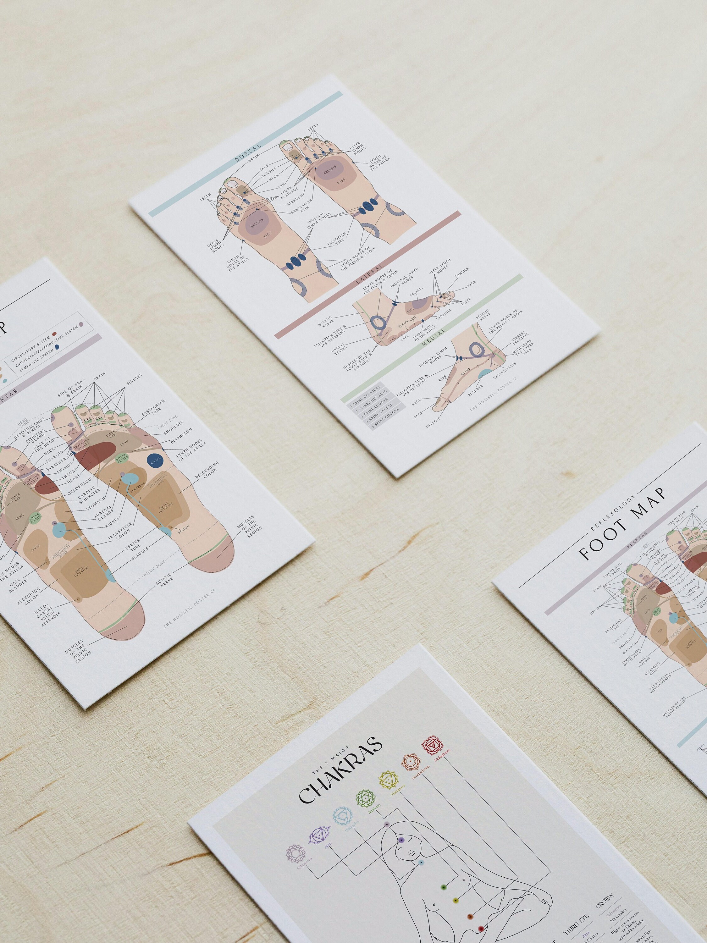 Reflexology Foot Map/foot Chart Print in Sizes A3/A4 Wall-art, Therapy ...