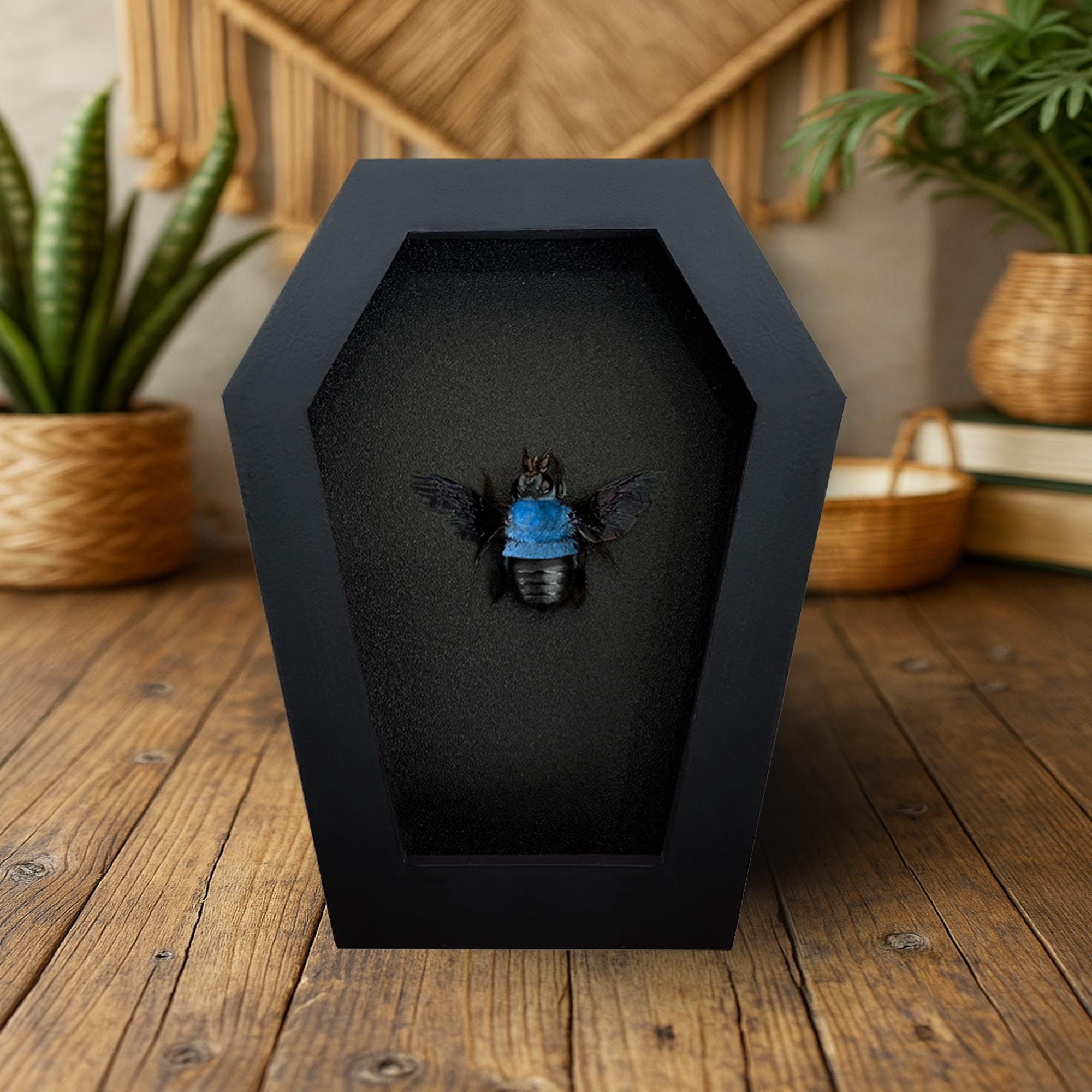Gothic Art Decor Taxidermy Blue Bee Coffin Frame Real Insect Bug Shadow ...