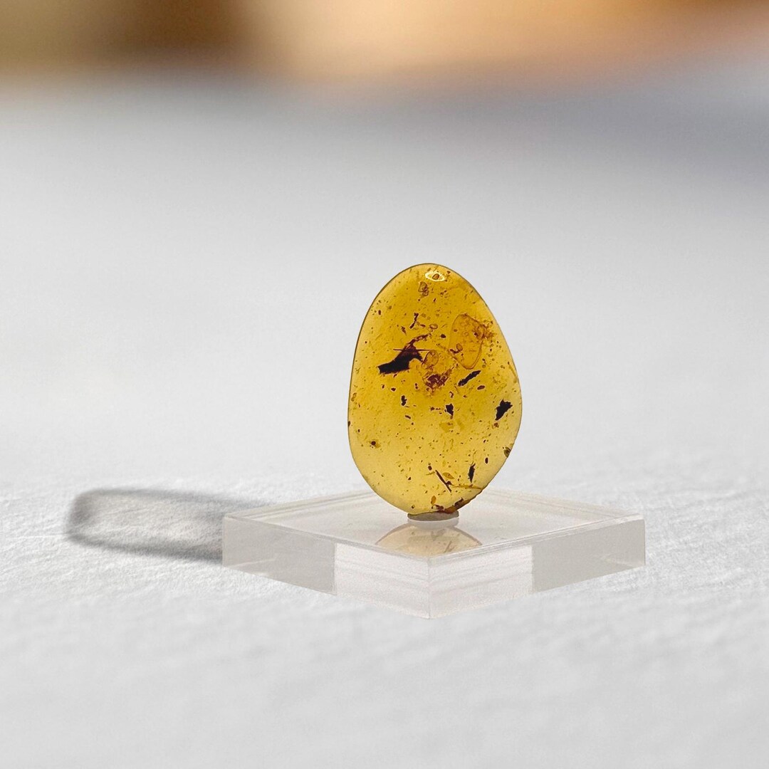 HYDRO Moving Bubble in Burmese / Burmite Amber Fossil / 100% Genuine ...