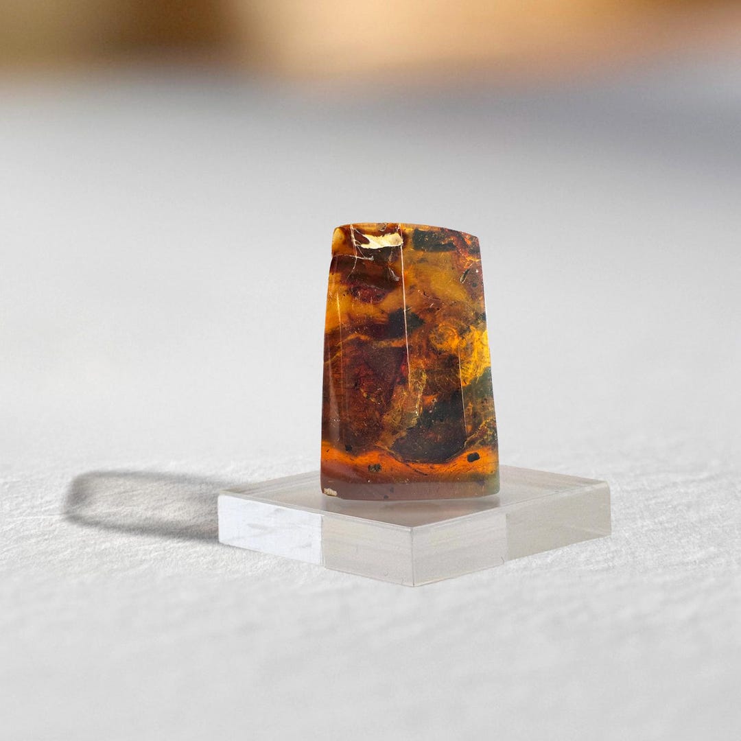 LARGE SNAIL Shell Inclusion in Burmese / Burmite Amber Fossil / 100% Genuine Amber / Spectacular ...