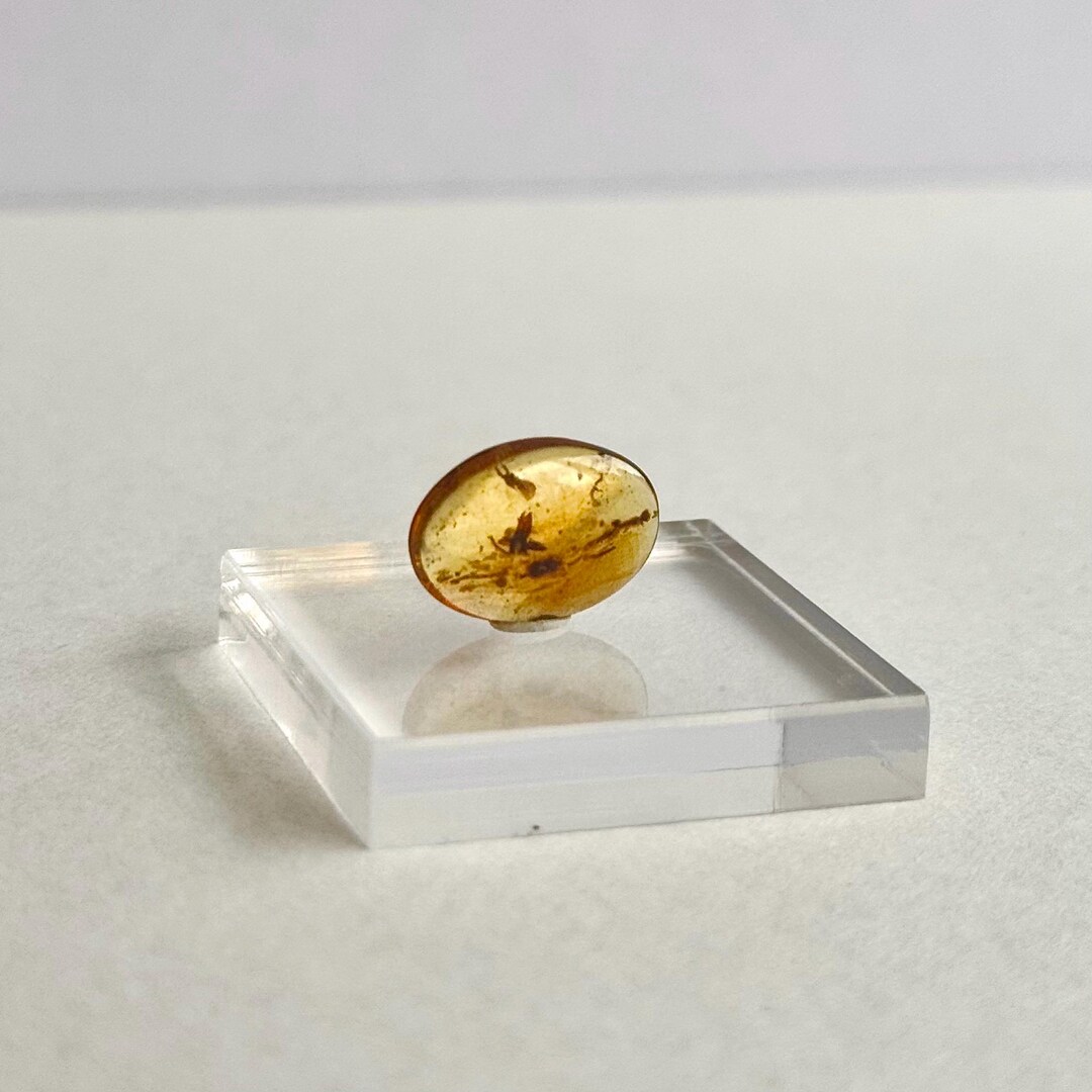 FLOWER Inclusion in Burmese / Burmite Amber Fossil / 100% Genuine Amber ...