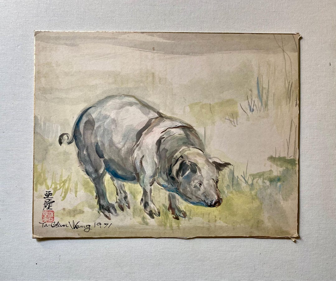Original 1971 Watercolor Pig or Hog by Ta Chan Wang - 12 1/2” X 16” - Etsy