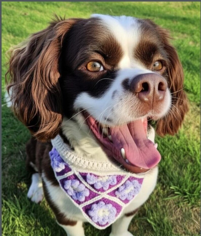 Dog Bandana CROCHET PATTERN – Easy DIY Pet Accessory for Stylish Dogs ...