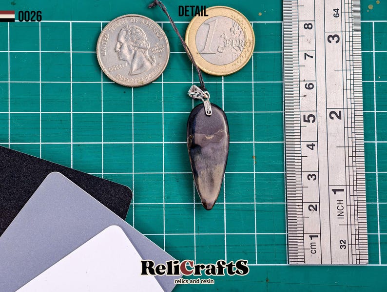The Gilded Fossil – Genuine Gold Flake & Fossilized Shark Tooth Pendant ...