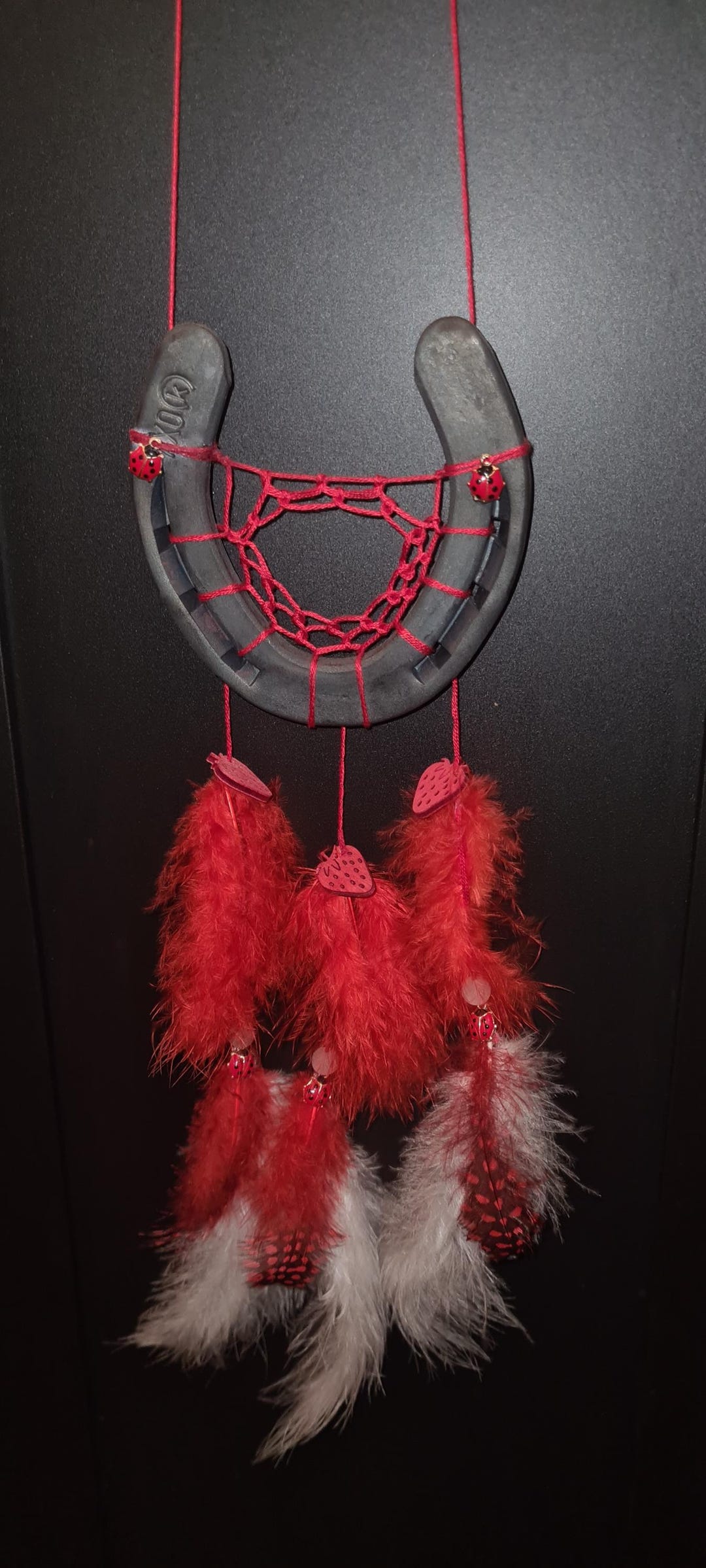 Pony Horseshoe Dream Catcher Red Ladybug - Etsy