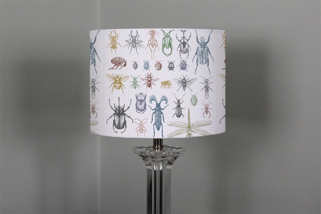 Big Set of Insects Bugs Beetles and Bees Many Species in Vintage Old ...
