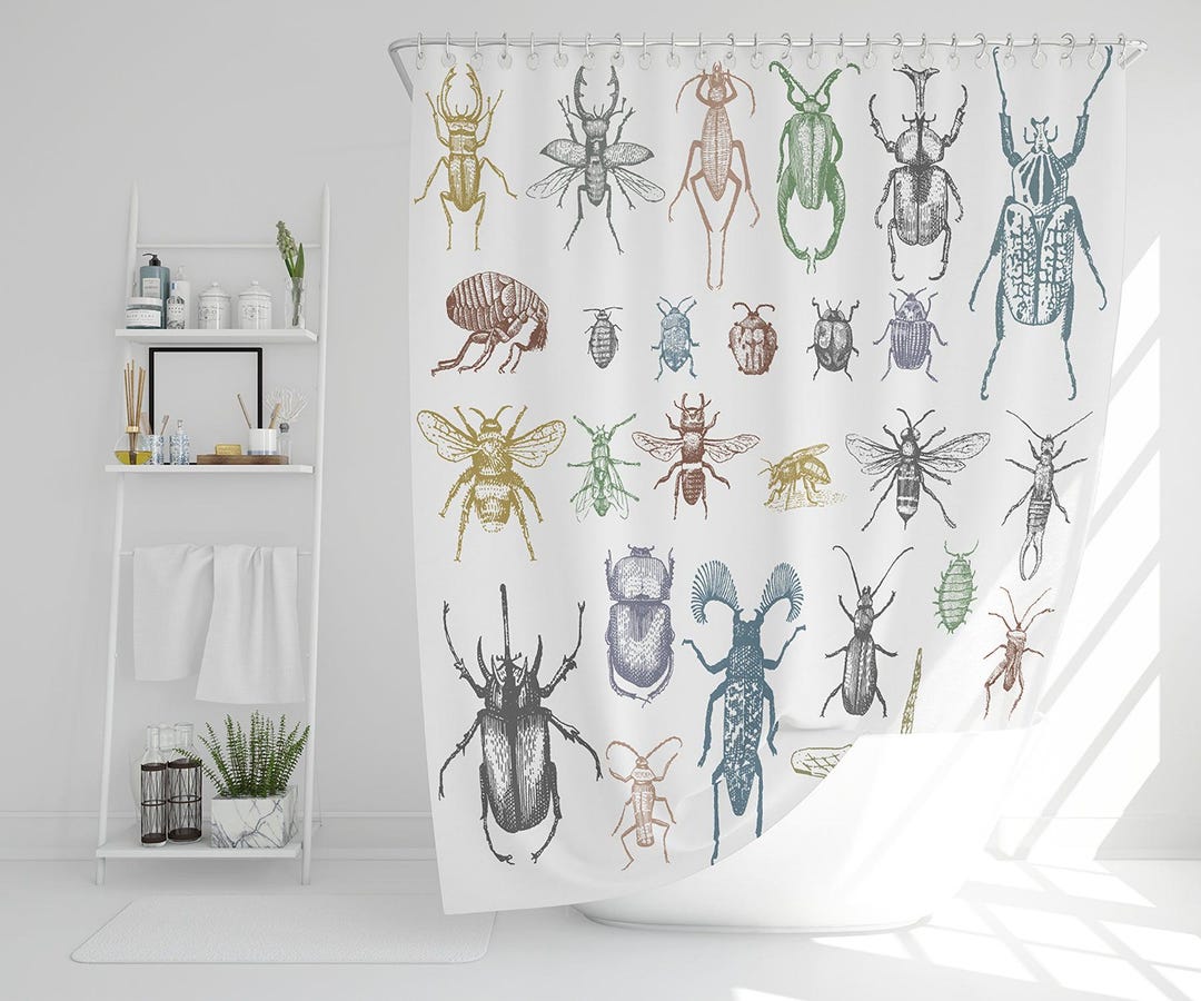 Big Set of Insects Bugs Beetles and Bees Many Species in Vintage Old ...