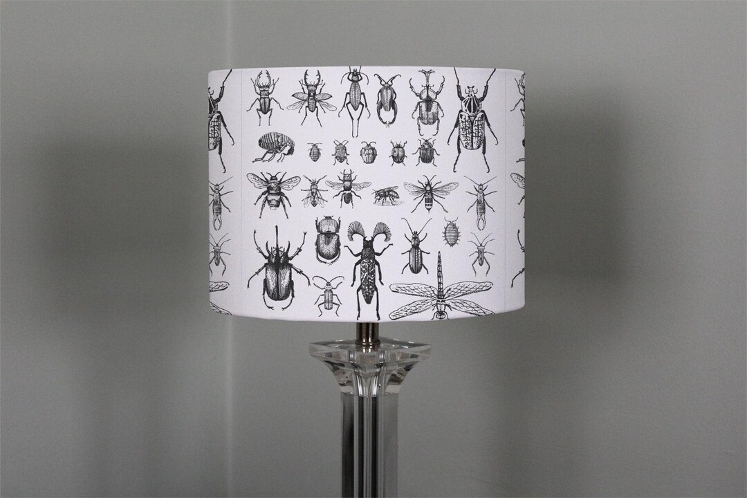 Big Set of Insects Bugs Beetles and Bees, Fleas Many Species in Vintage ...