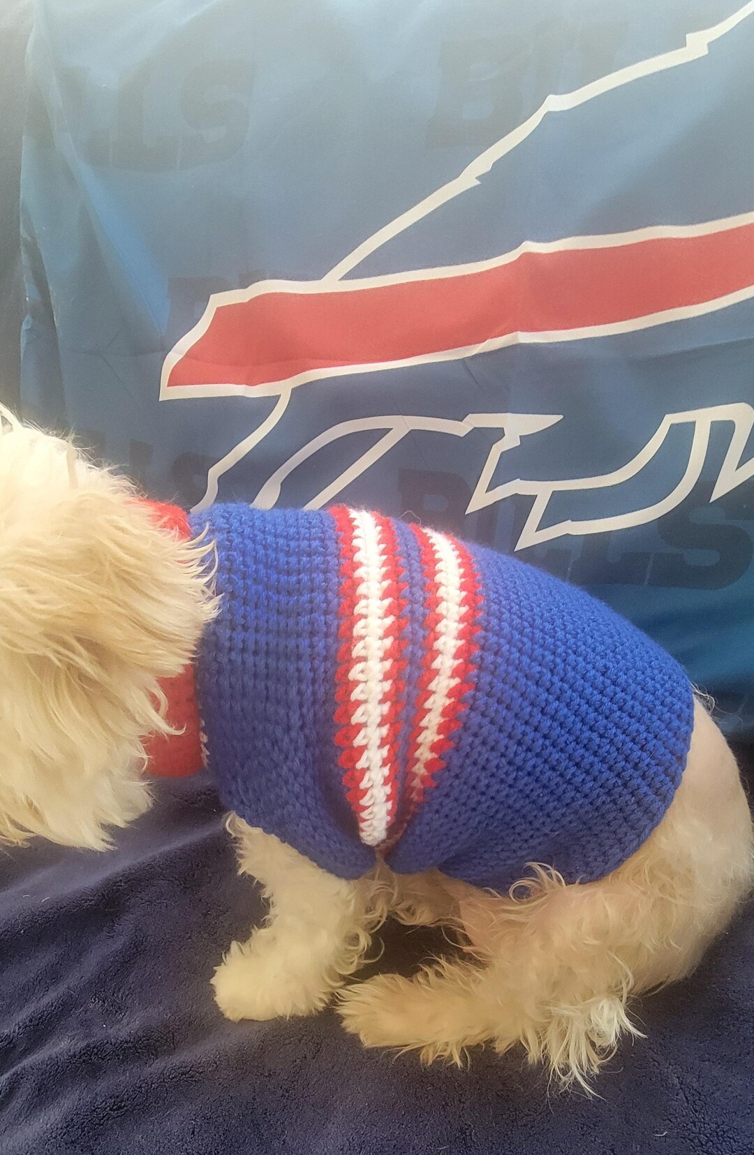 Buffalo Bills Dog Sweater - Etsy