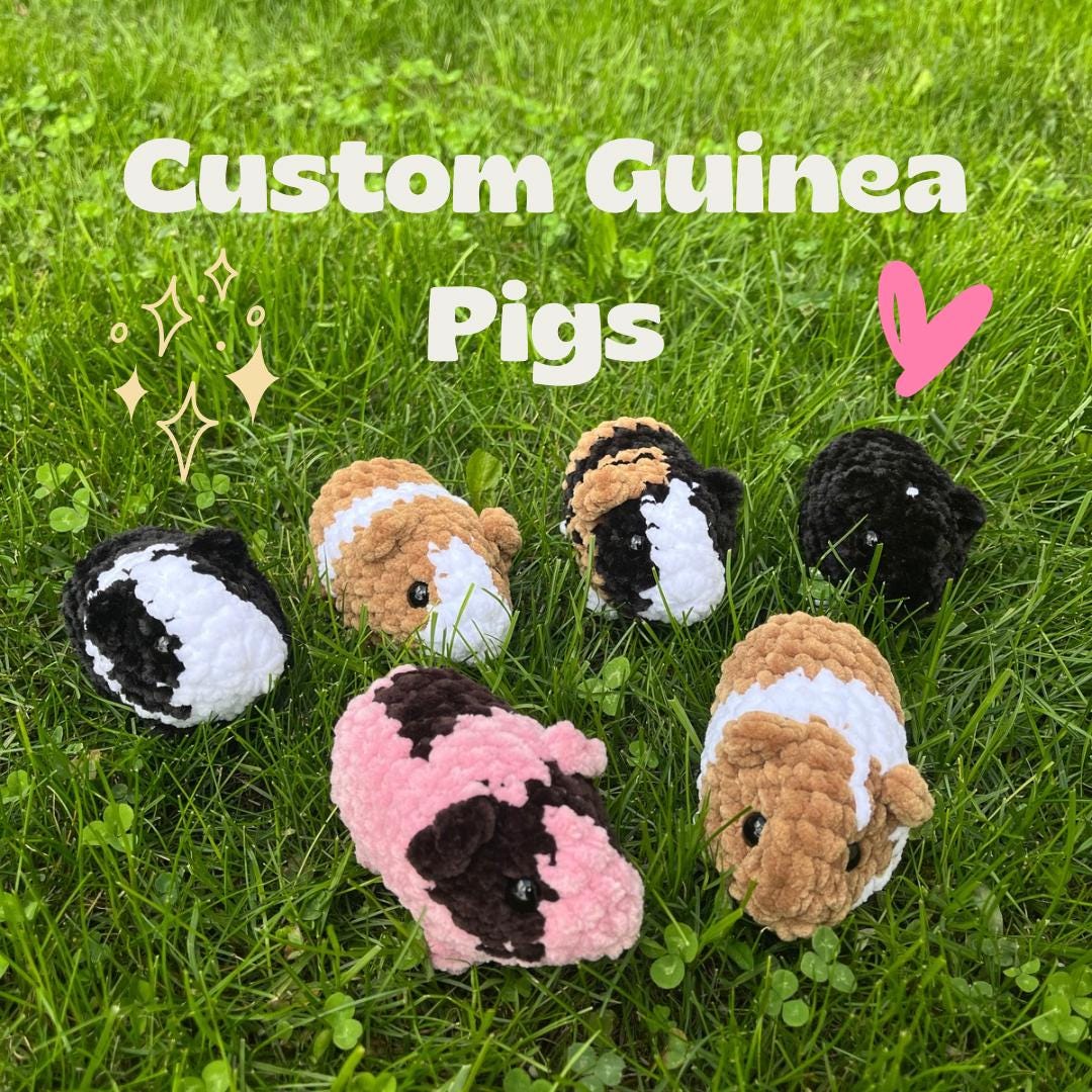 CUSTOM Crochet Guinea Pig Plushie | Pocket Pet Replica Gift - Etsy
