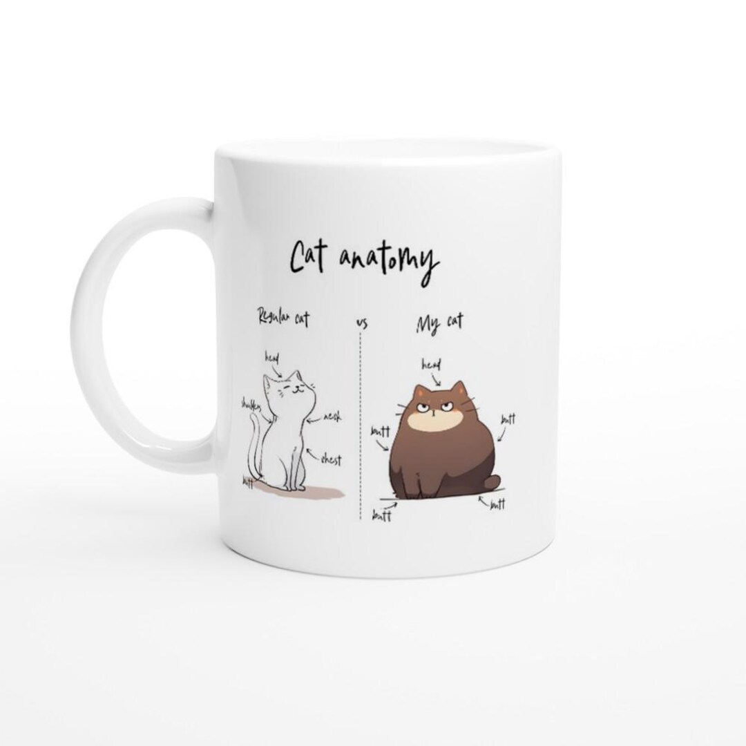 Cat Anatomy: Regular Cat Vs My Cat, Funny Cat Mug, Fat Cat Mug ...