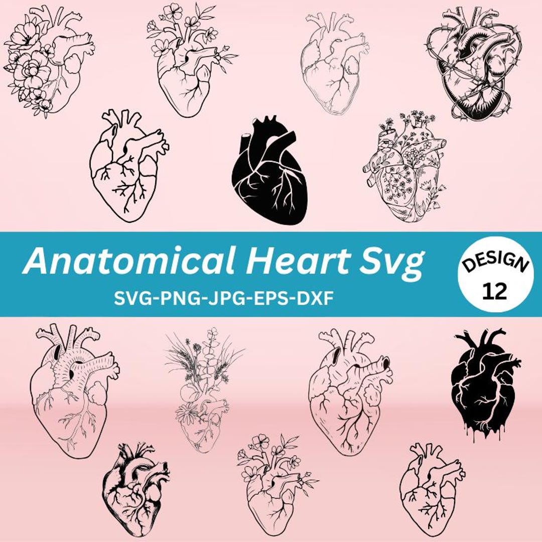 Anatomical Heart SVG Bundle: Floral Heart Anatomy (digital Files) - Etsy