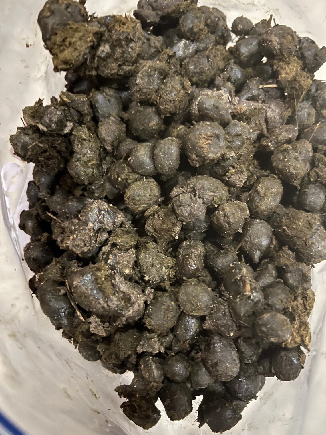 Alpaca and Llama Poo / Beans / Manure / Fertilizer / Tea / Garden ...