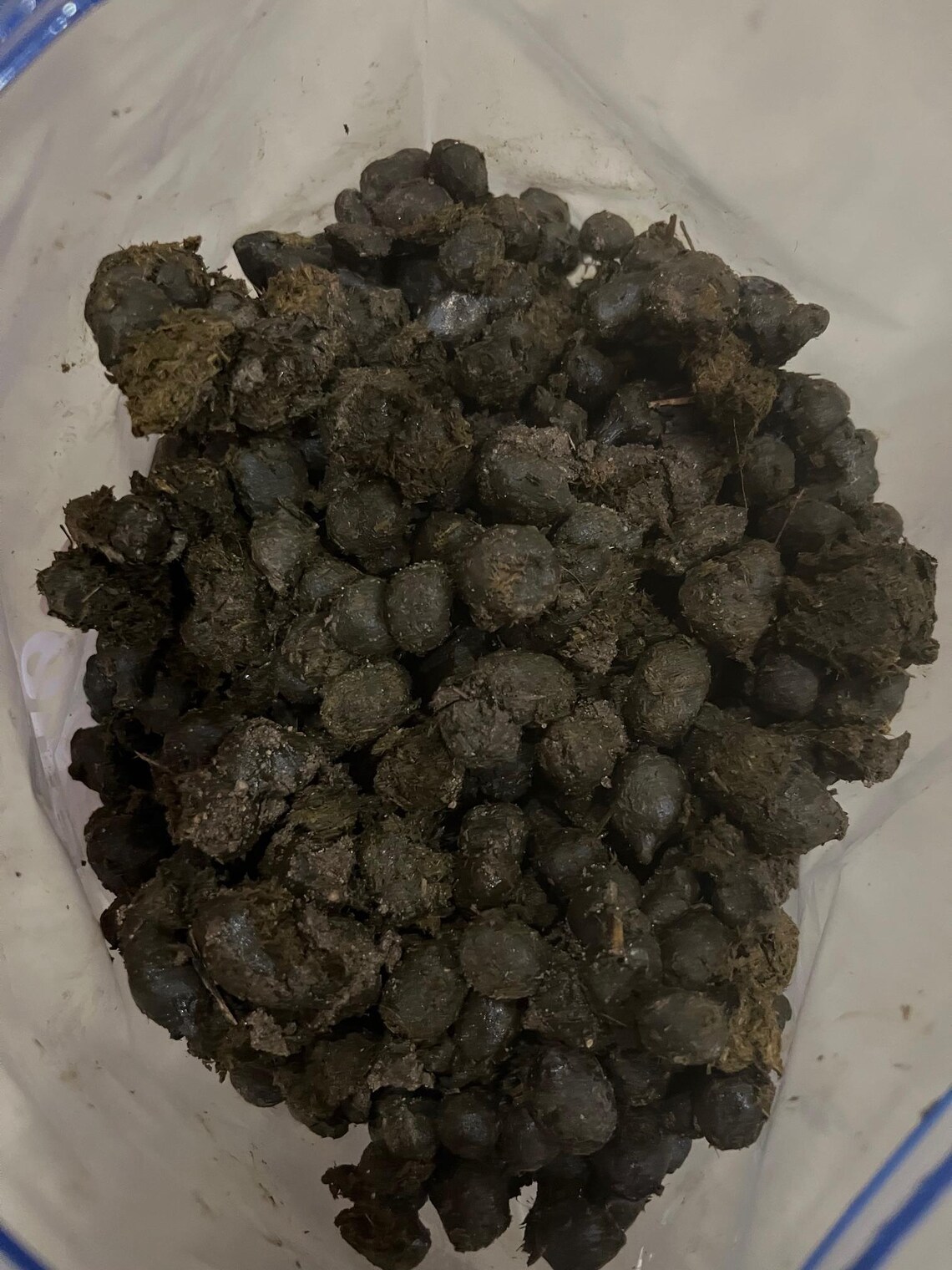 Alpaca and Llama Poo / Beans / Manure / Fertilizer / Tea / Garden ...