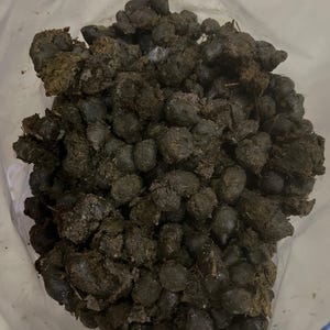 Alpaca and Llama Poo / Beans / Manure / Fertilizer / Tea / Garden ...