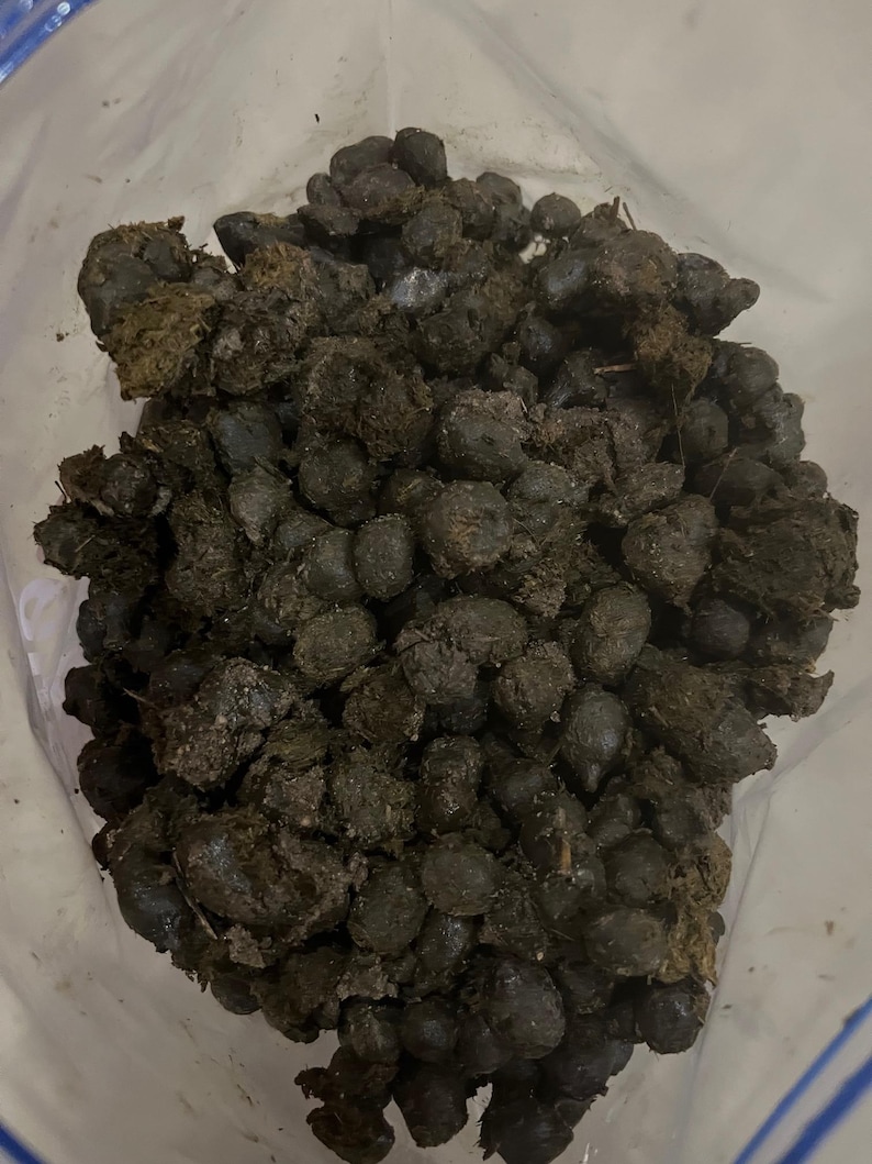 Alpaca and Llama Poo / Beans / Manure / Fertilizer / Tea / Garden ...