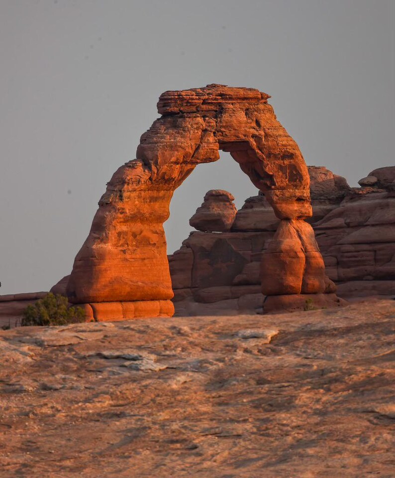 Wildlife and National Parks - Etsy