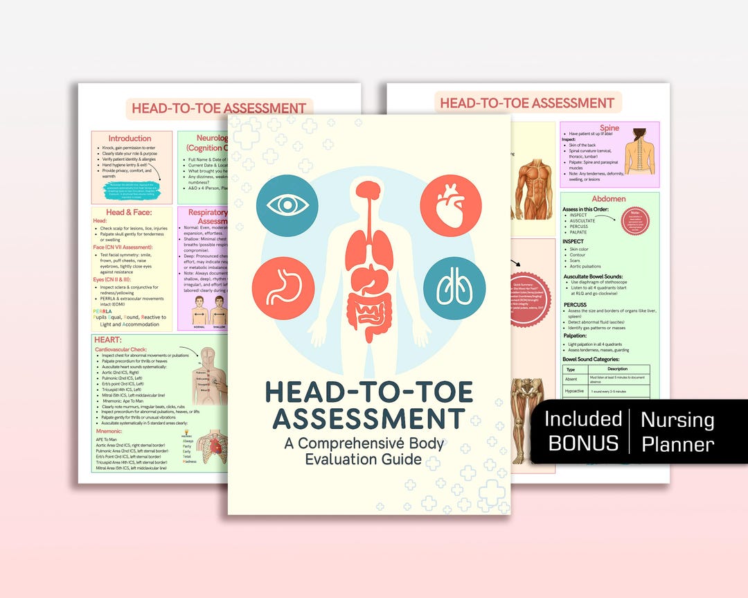 Head to Toe Assessment Template for Nursing Student Head to Toe ...