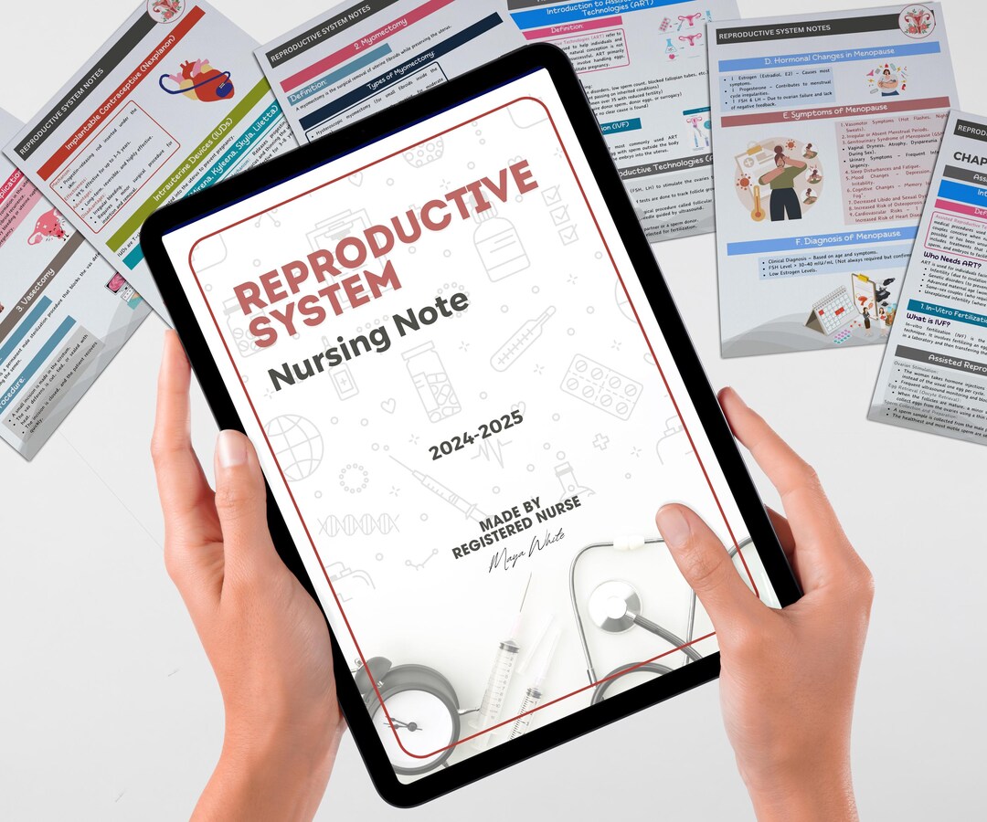 Reproductive System Notes Updated 2025, Nursing Student Note, Human ...