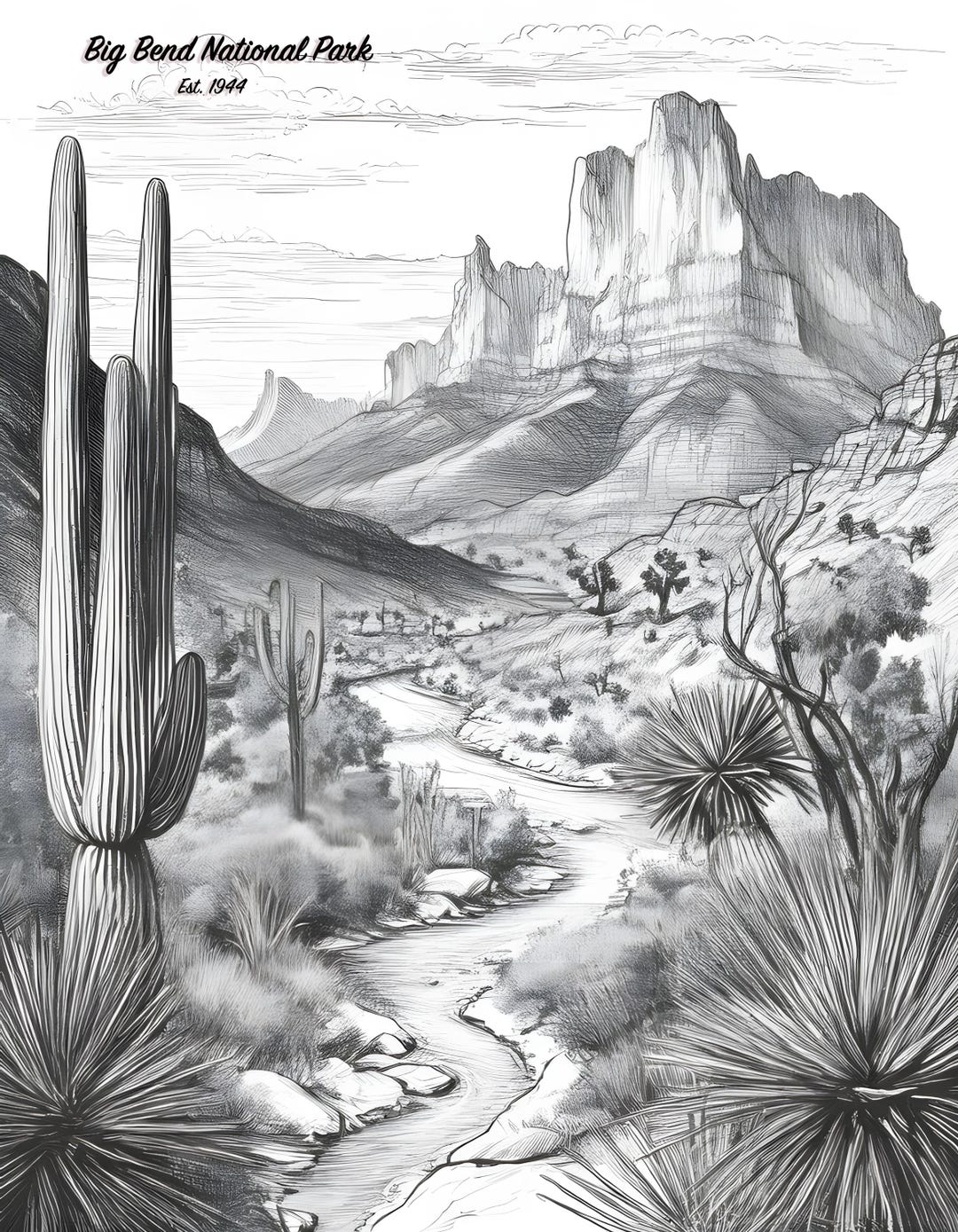 Big Bend National Park Poster, Pencil Black and White Art Drawing ...