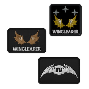 Fourth Wing Embroidered Patch, Flight Jacket Cosplay Patches, Dragon ...