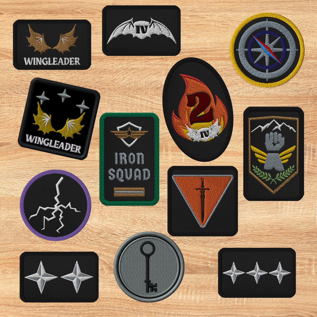 Fourth Wing Embroidered Patch, Flight Jacket Cosplay Patches, Dragon ...
