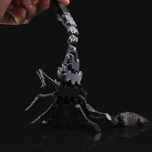 Emperor Scorpion Articulated - Etsy
