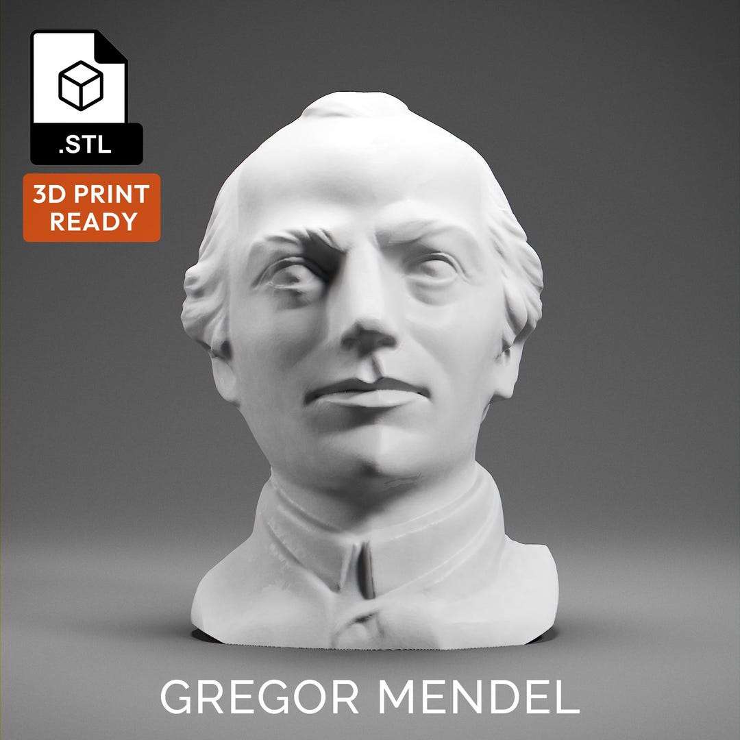 Gregor Mendel 3D Model - High Quality STL File for 3D Printing - 3D ...