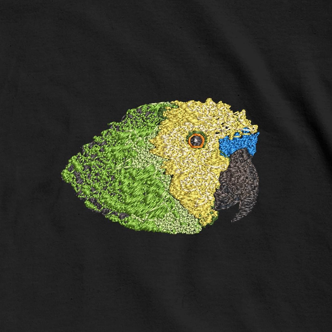 Parrot Machine Embroidery Design Parrot Embroidery Files Instant ...