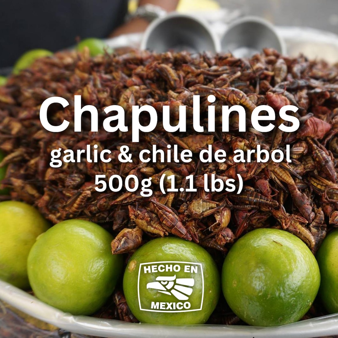500g Chapulines, Oaxacan Chapulines, Edible Insects, Dried Grasshopper ...