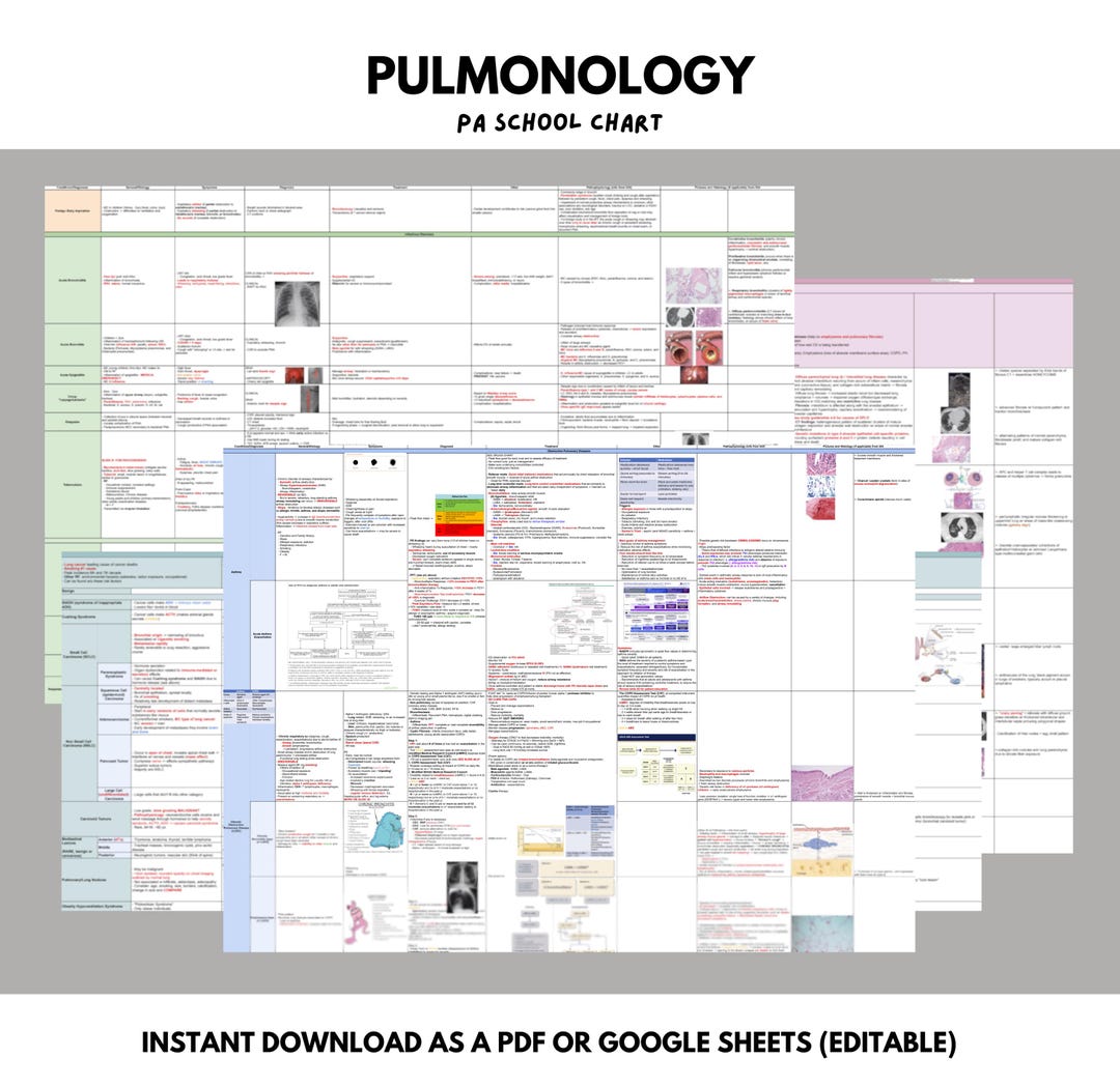 PA Pulmonology Chart - Etsy