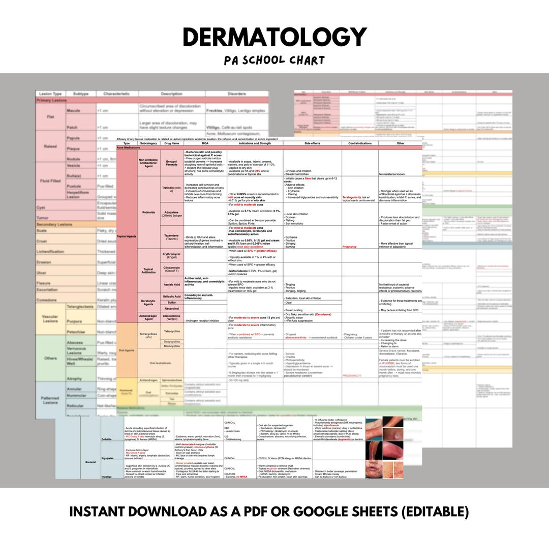 PA Dermatology Chart - Etsy